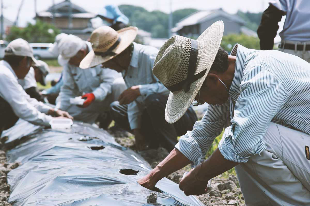 奈良の休耕田を活用し緑を増やし、地域の雇用を増やす。【タビオのSDGs-Tabio-】