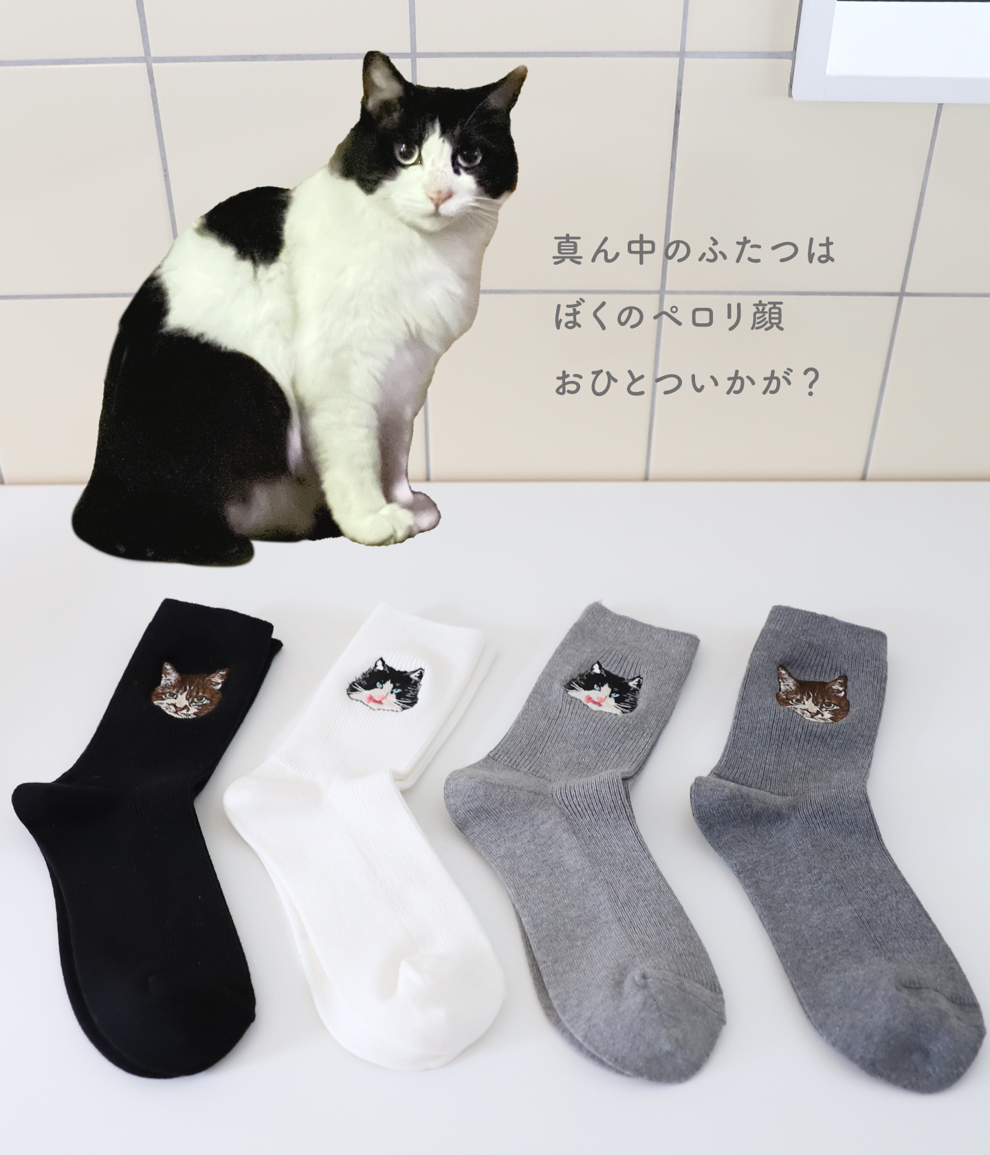 | 靴下屋公式通販 Tabio オンラインストア